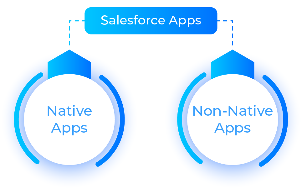 How To Build A Custom Salesforce App That Drives Startup Growth